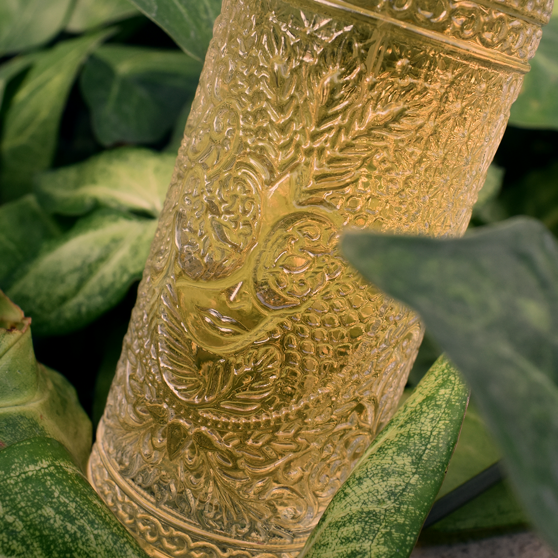 KAI GATES – Fragrance Passion